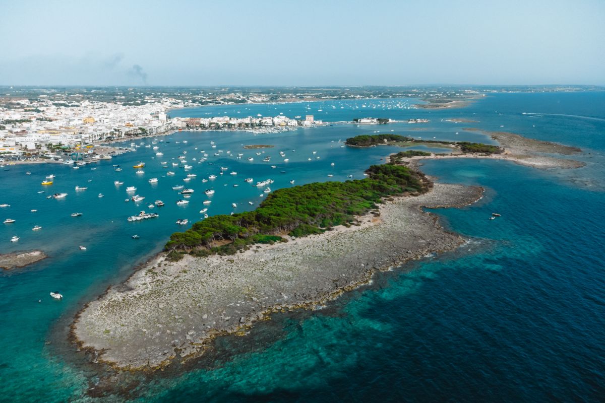 Si raggiunge solo via mare: il curioso isolotto dei conigli è un ...