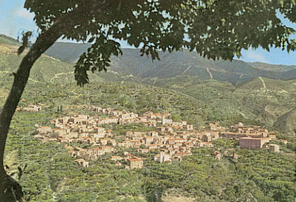 Taverna: la guida completa