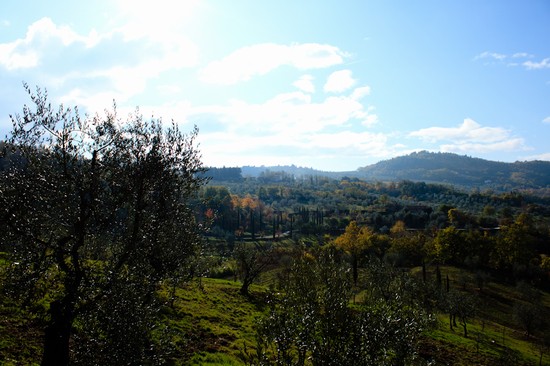 Pelago: la guida completa